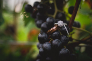 Valenzano Winery Wedding Photos and Videos